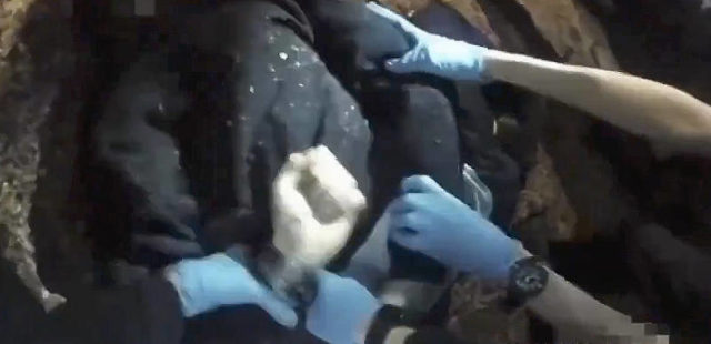 SHAMEFUL VIDEO – UK police body camera footage of arrest of a dying ...